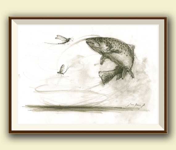Fly Fishing Drawing