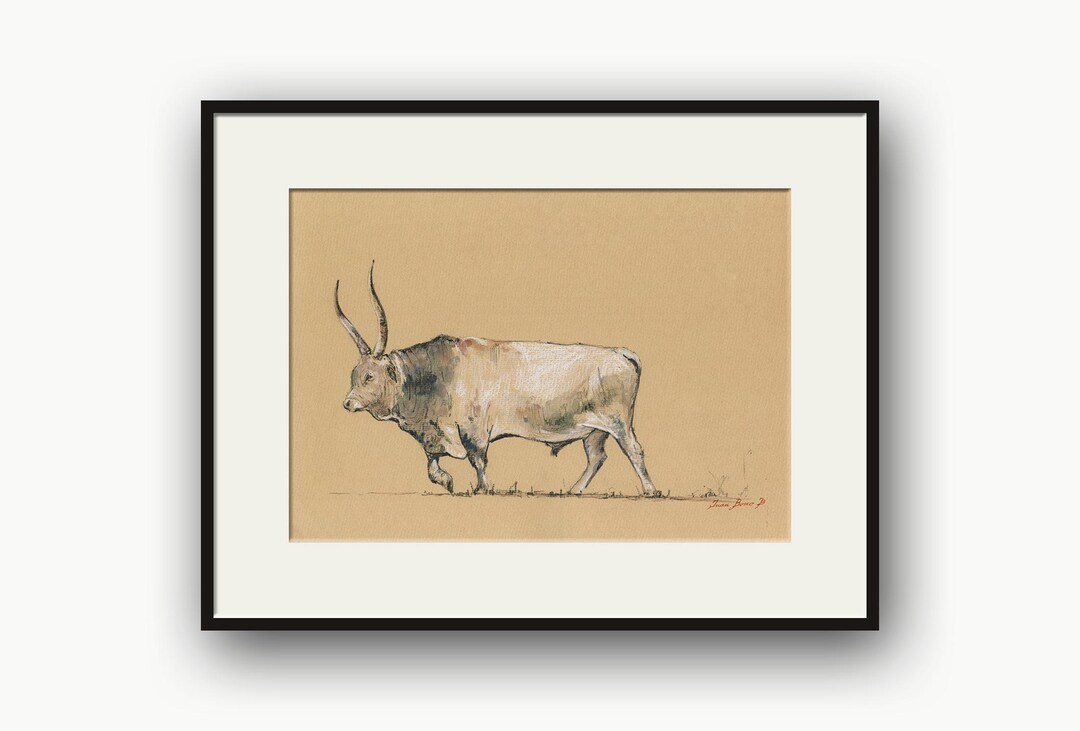 Zebu Watercolor on Paper Painting, Bos Indicus, Indicine Cattle, Camel ...