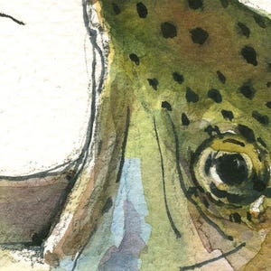 Print-rainbow Trout Fish Eating Mayfly - Fly Fishing River Print ...