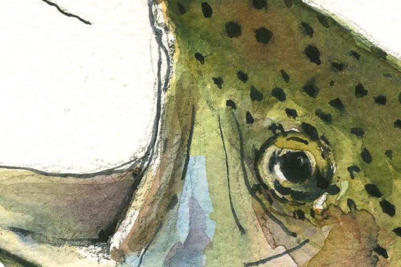 Print-rainbow Trout Fish Eating Mayfly Fly Fishing River - Etsy