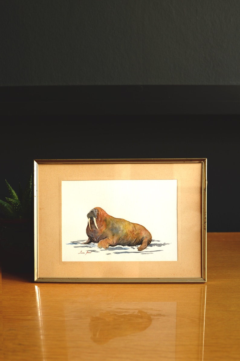 Walrus Painting Walrus Watercolor Walrus Print Walrus - Etsy