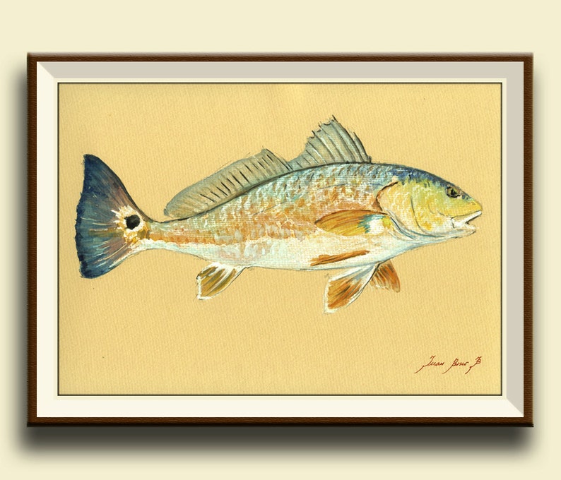Print-redfish Game Fishing Fresh Salt Water Sport Fishing - Etsy