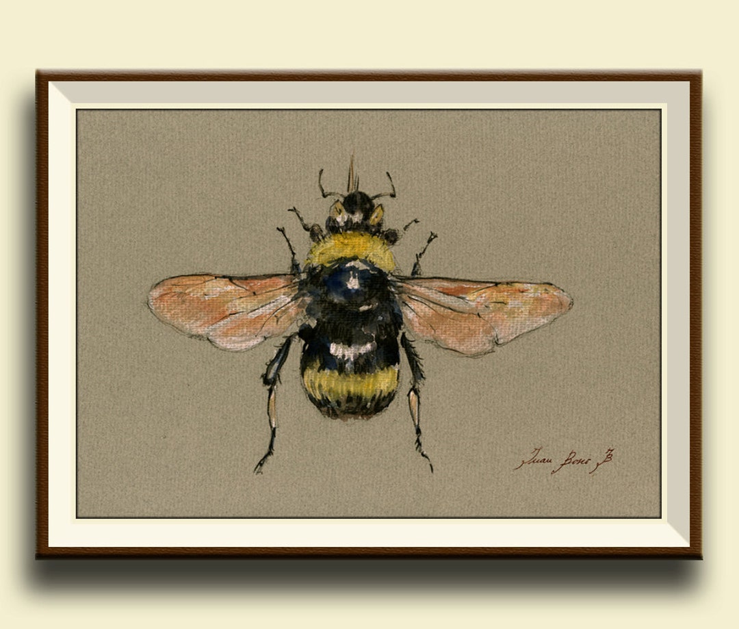 Print-bee Bumblebee Bombus Honey Insect Art Drawing Print Watercolor ...