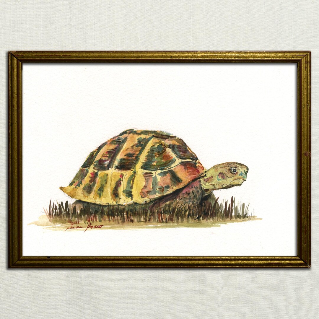 PRINT -desert Tortoise, Tortoise Print, Tortoise Turtle -tortoise Art ...