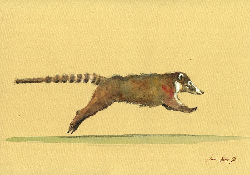 Print-coati Coatimundi Animal - Head Painting Watercolor PRINT Coati ...
