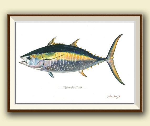 Yellowfin Tuna Painting
