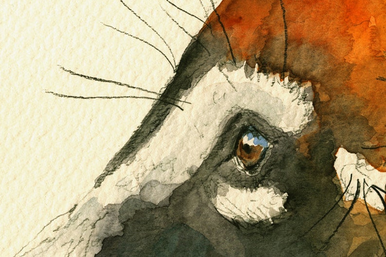 Coati Coatimundi Animal Head Painting Watercolor PRINT Coati | Etsy