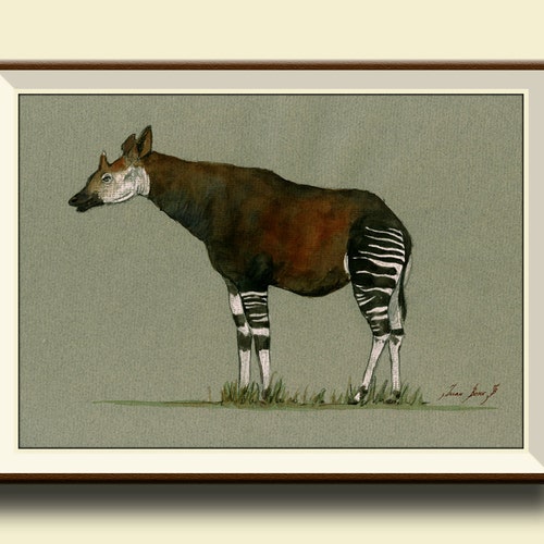Okapi Jungle Print - Etsy