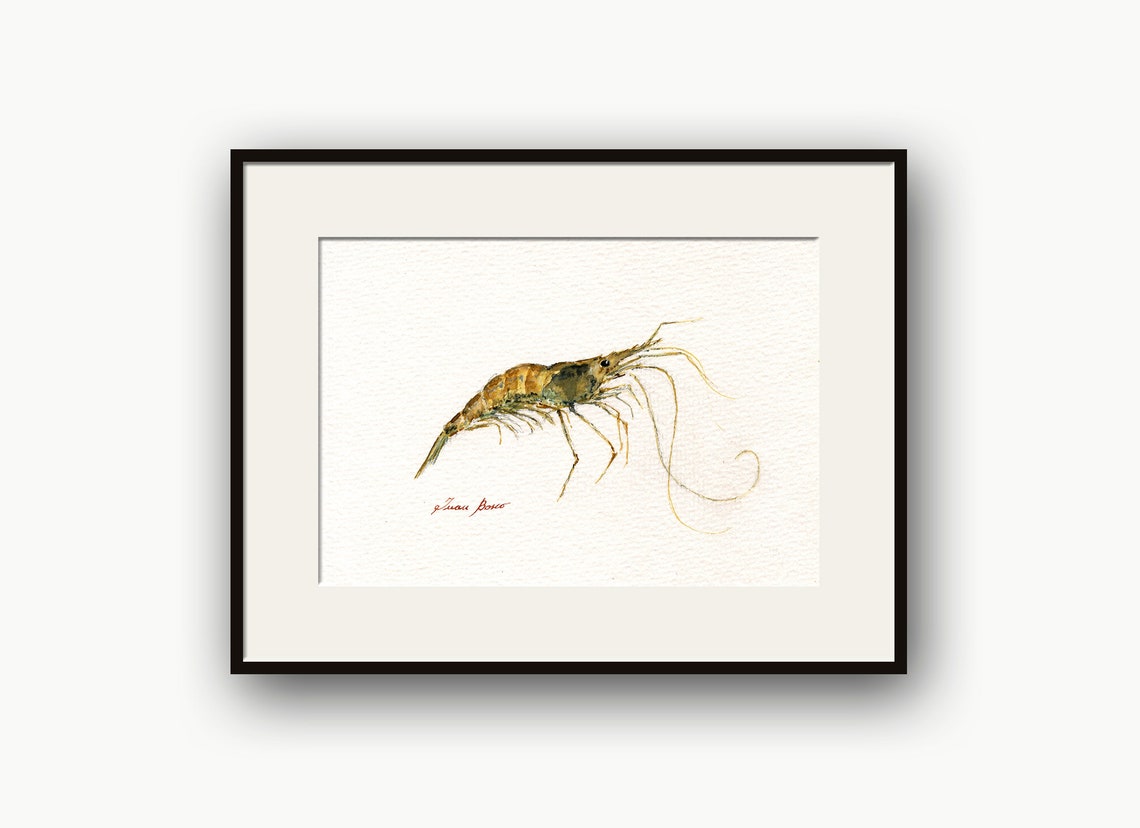 PRINT -prawn Painting, Shrimp Seafood Watercolor Art, Prawn Print ...
