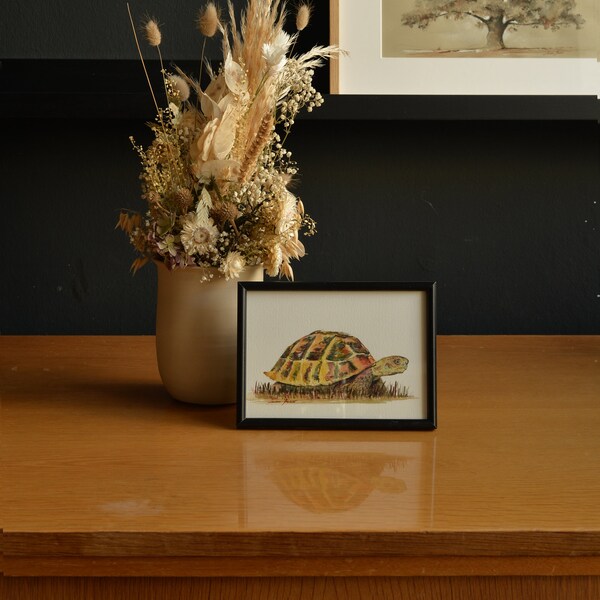 Tortoise Painting - Etsy UK