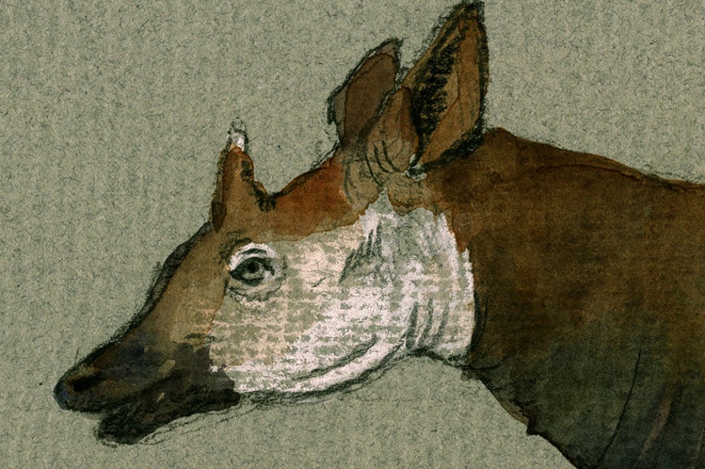 Print-okapi Animal-african Wild Opaki Gifaffe Family africa | Etsy