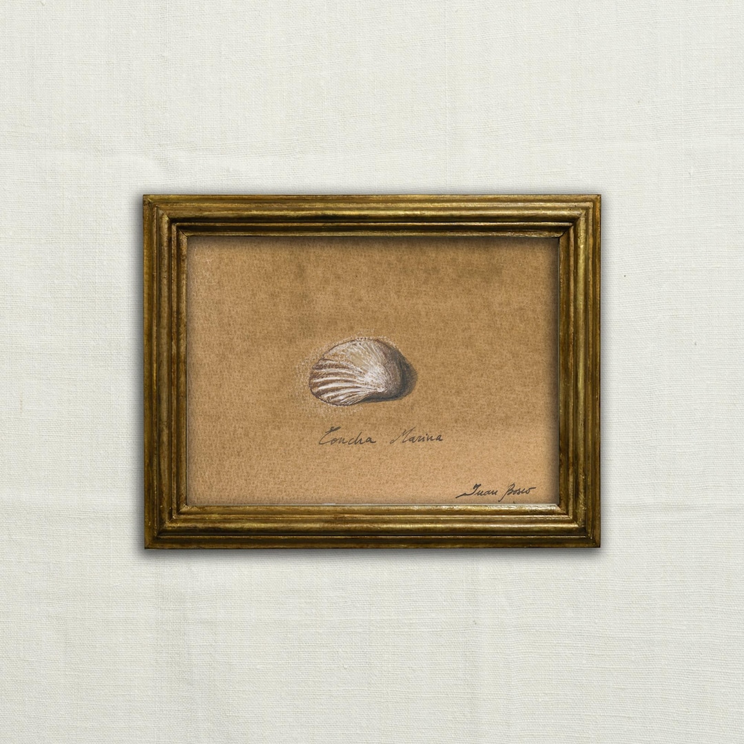 Original, NOT A PRINT - Seashell Art, Clam Charcoal Sketch, Minimal ...