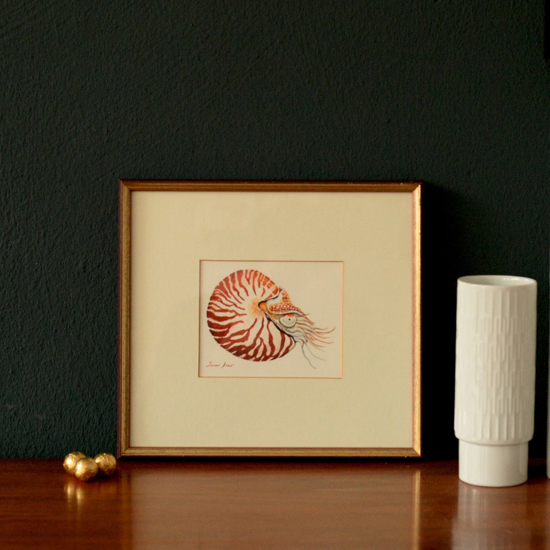 Nautilus Painting, Nautilus Art, Nautilus Print, Nautilus Animal Art ...