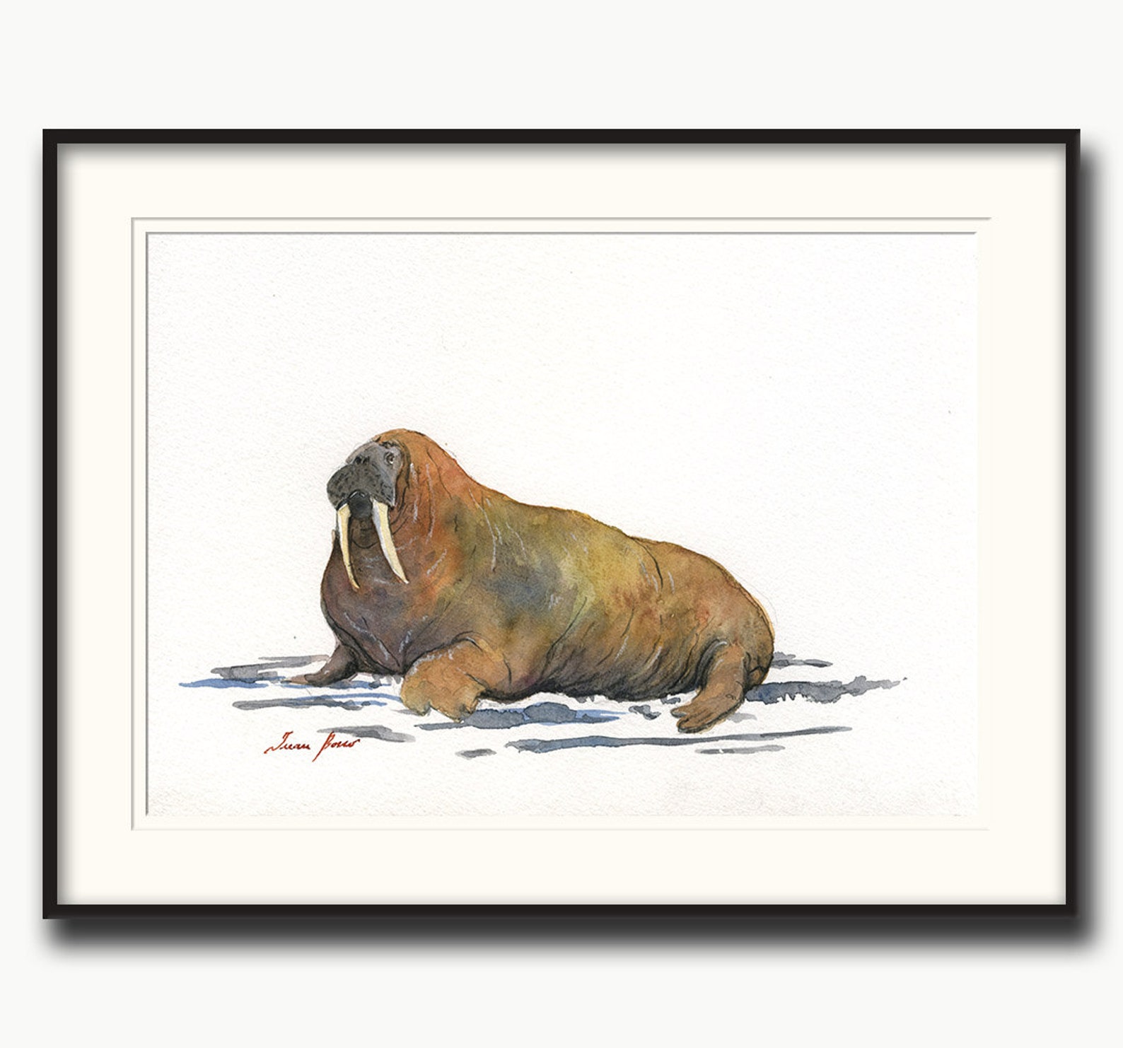 Walrus Painting Walrus Watercolor Walrus Print Walrus - Etsy