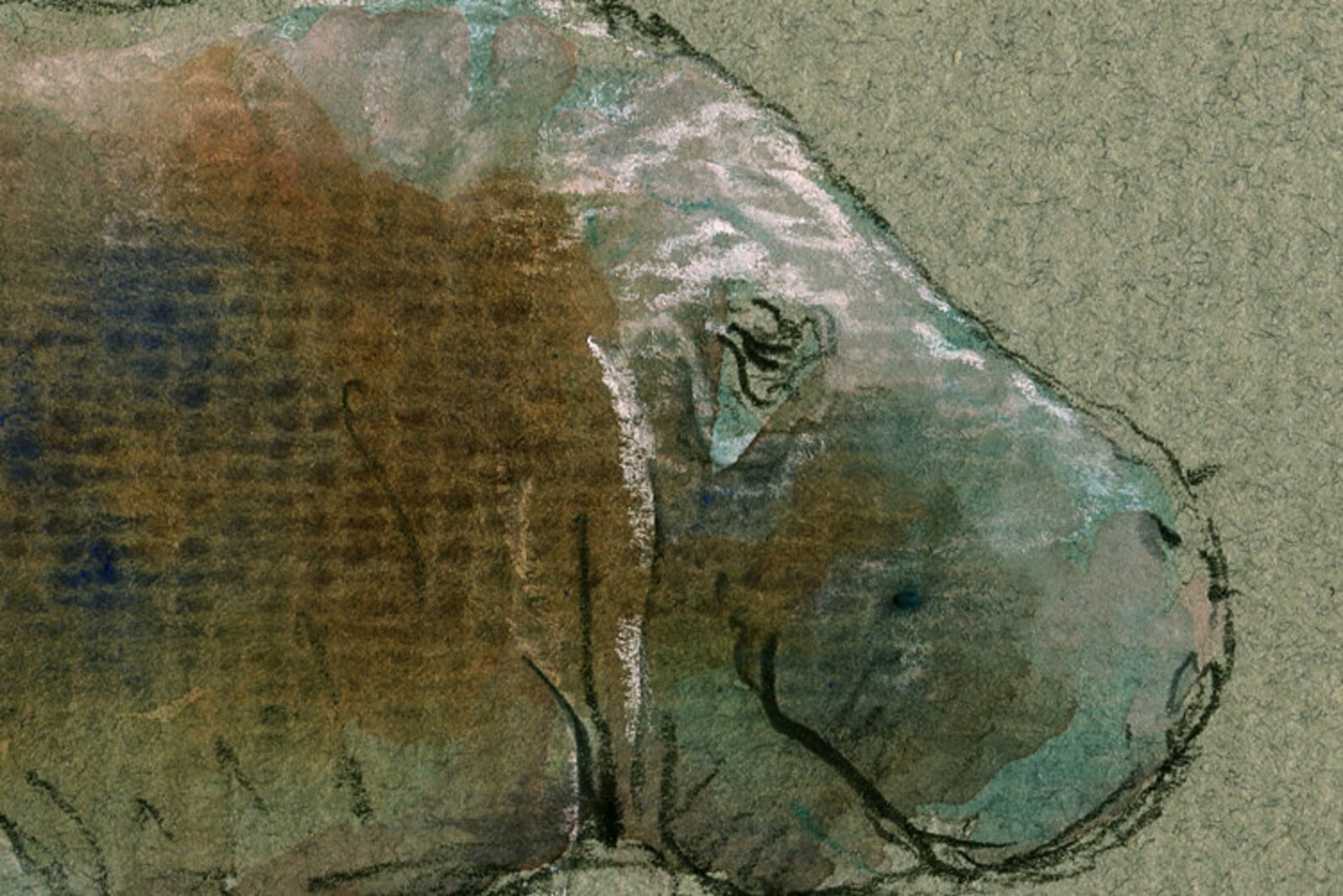 Print-manatee Sea Cow Mermaid Print Artwork Marine Mammal | Etsy