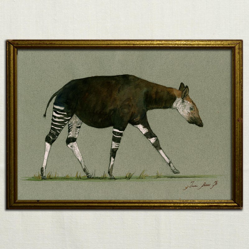 Okapi - Etsy