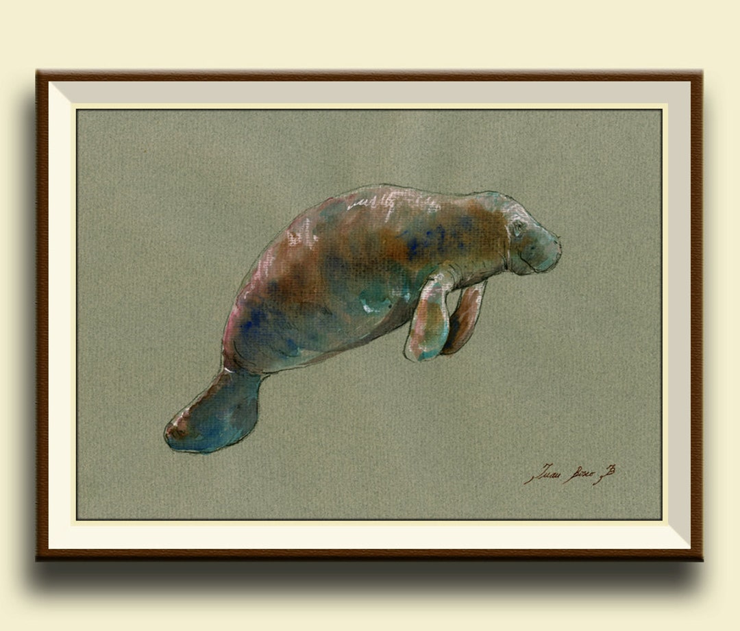 Print-manatee - Sea Cow Mermaid Print Artwork - Marine Mammal Art Print ...