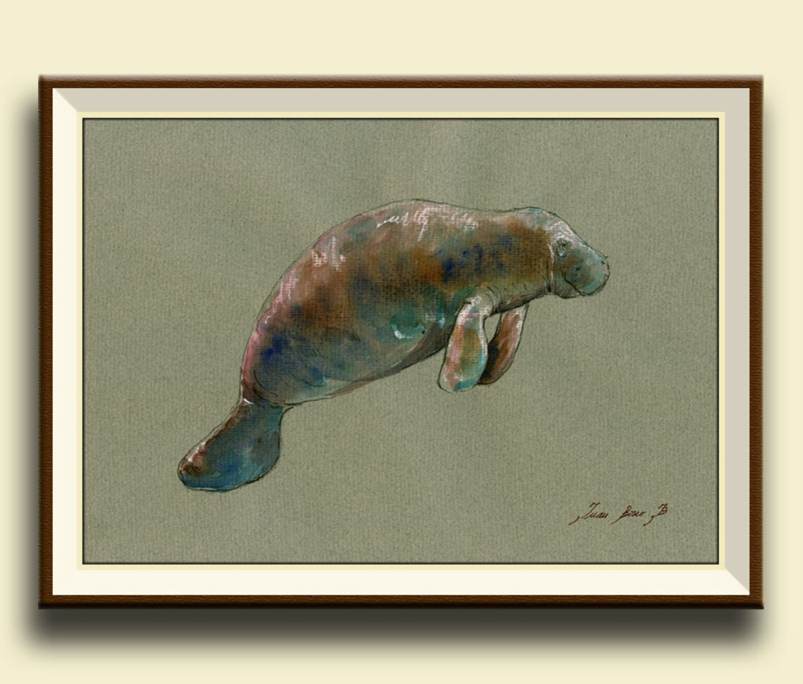 Print-manatee Sea Cow Mermaid Print Artwork Marine Mammal - Etsy