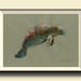 Print-manatee Sea Cow Mermaid Print Artwork Marine Mammal | Etsy