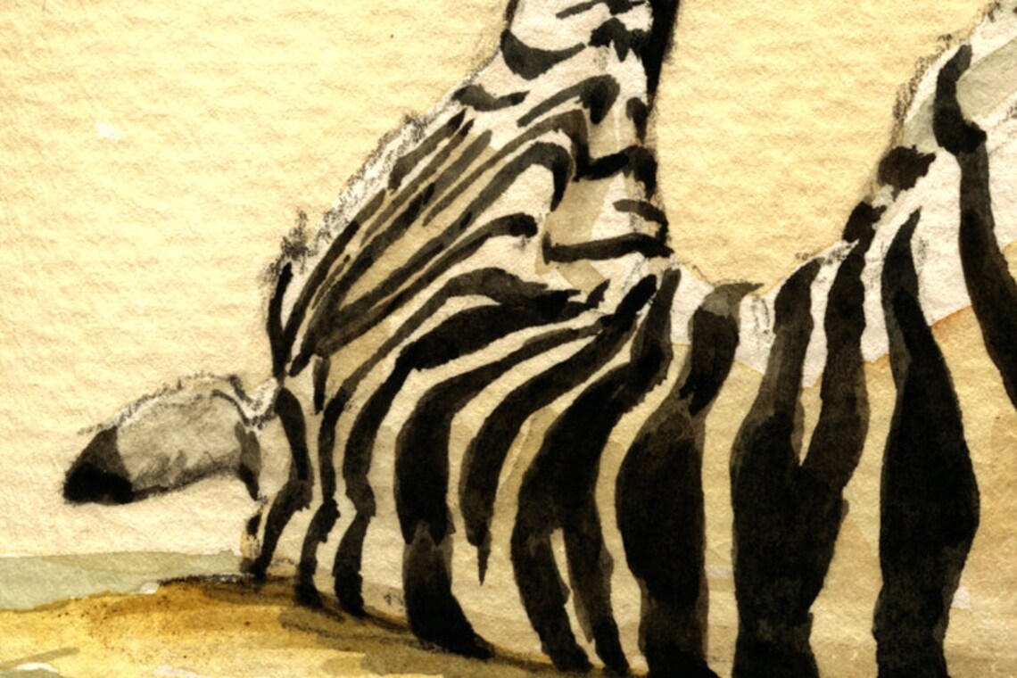 PRINT-Zebra print zebra animal art zebra cute animal zebra | Etsy