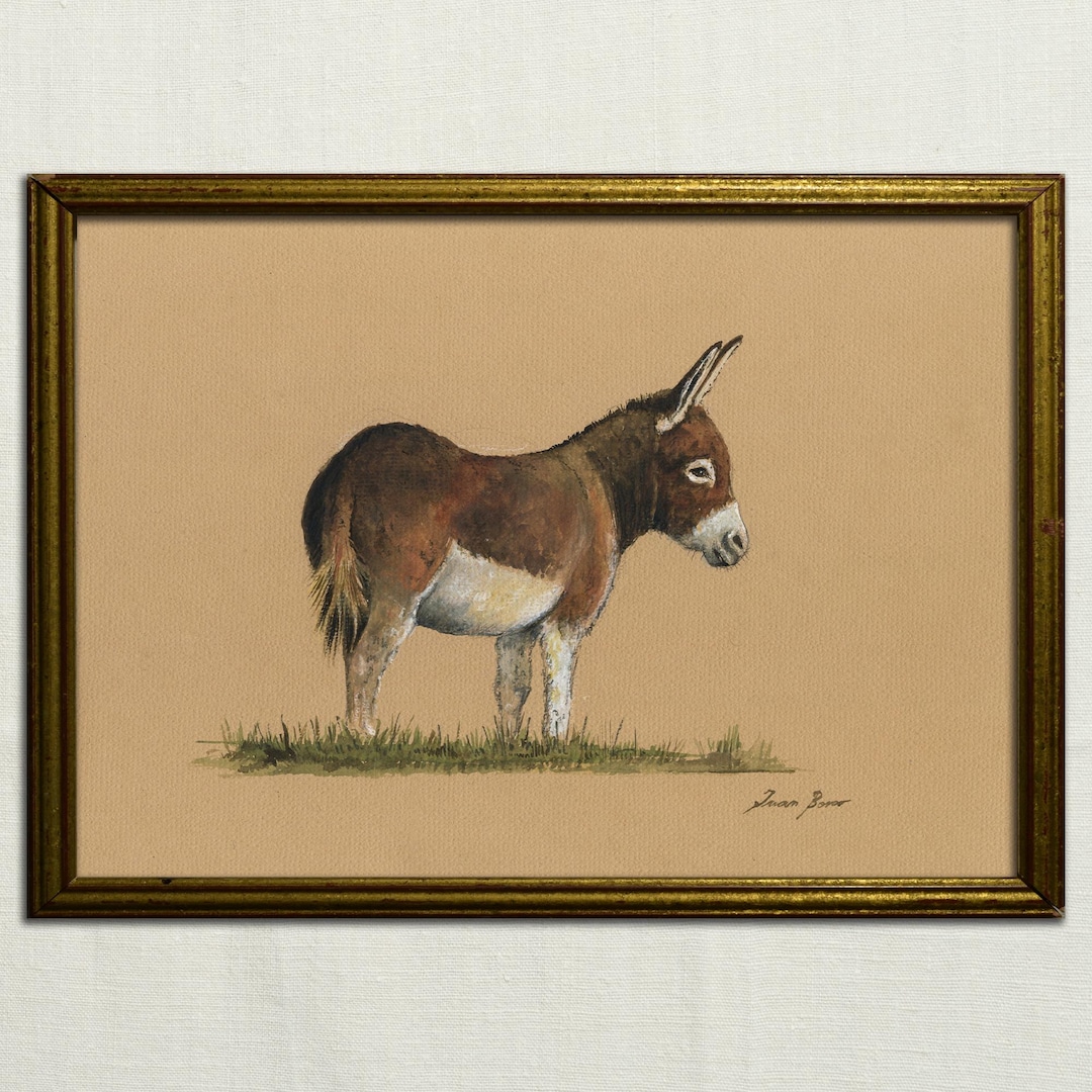 PRINT -donkey Watercolor on Paper Painting, Equus Asinus, Donkey ...