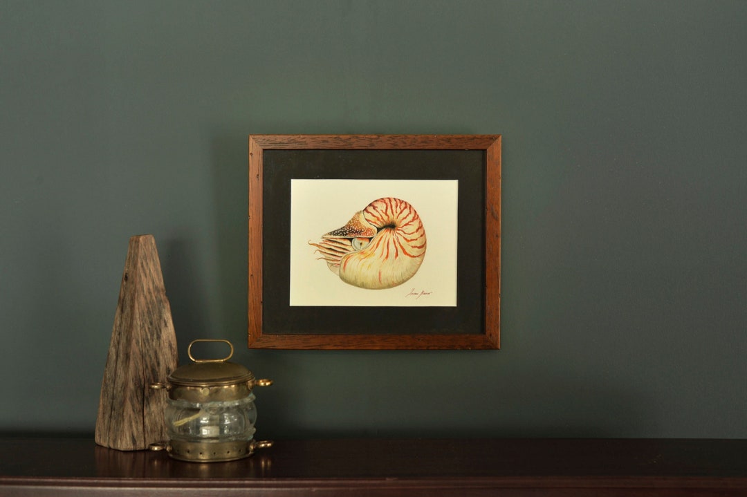 Nautilus Painting, Nautilus Art, Nautilus Print, Nautilus Animal Art ...