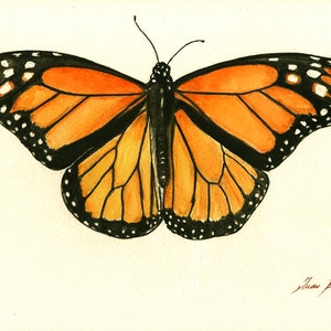 Print-monarch Butterfly - Insect Art Drawing Print Watercolor Painting ...