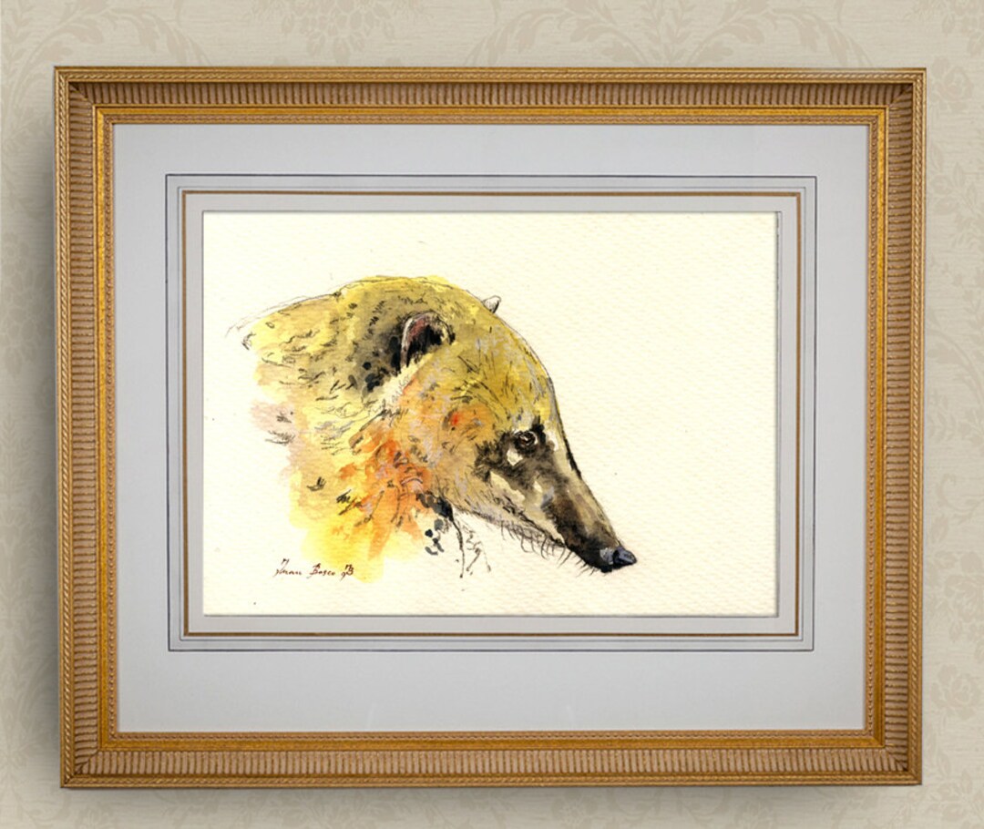 Print-coati Coatimundi Animal Head Painting Watercolor PRINT - Etsy New ...