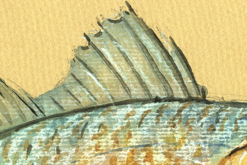 Print-redfish Game Fishing Fresh Salt Water Sport Fishing - Etsy