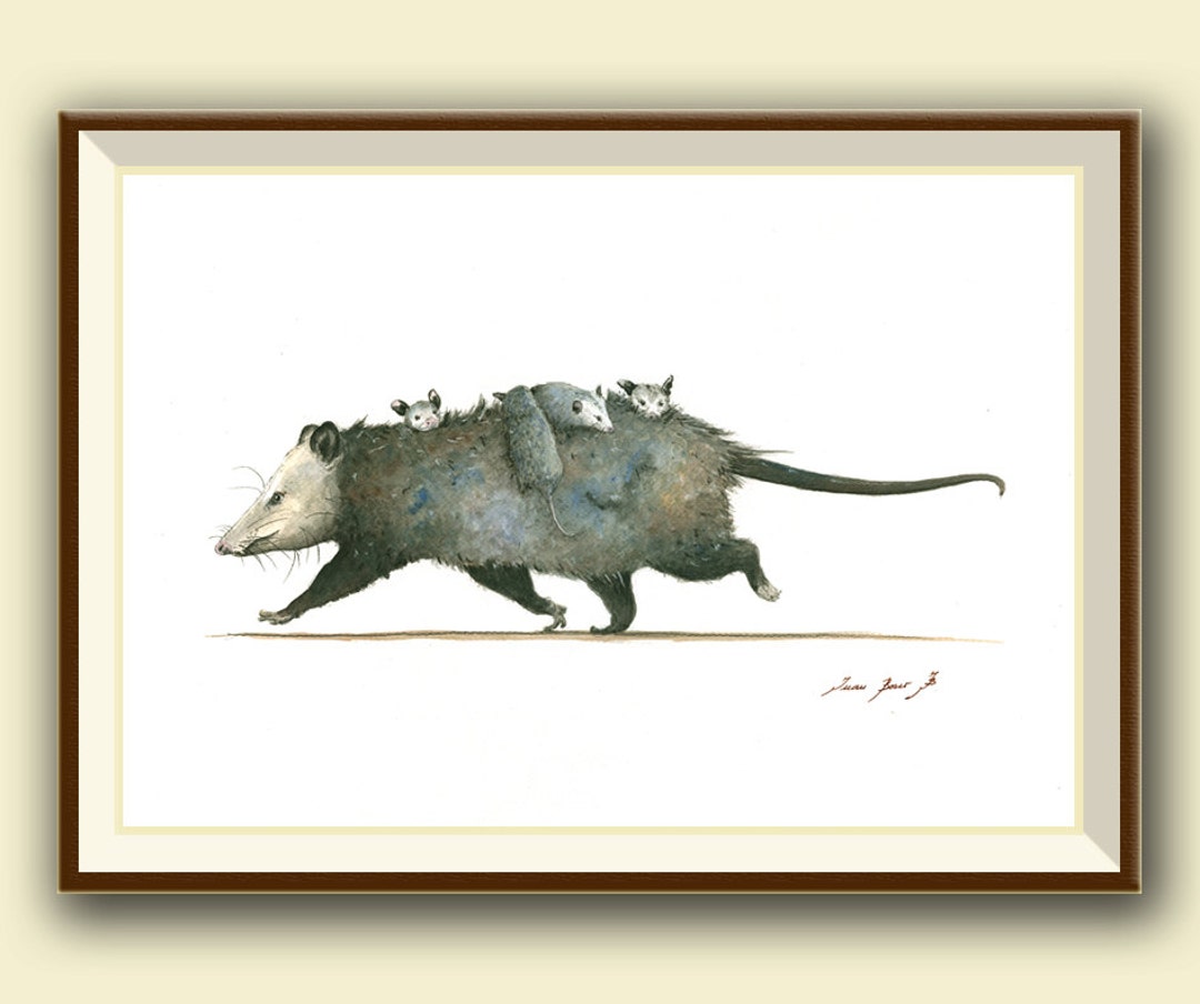 PRINT Opossum With Cubs Opossum Print Possum Art Marsupial Print ...