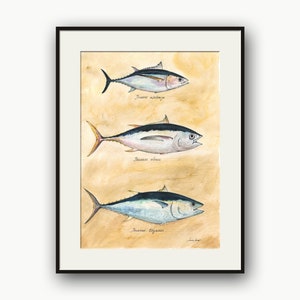 Tuna Watercolor on Paper Painting, Bigeye Tuna Drawing, Longfin Tuna ...