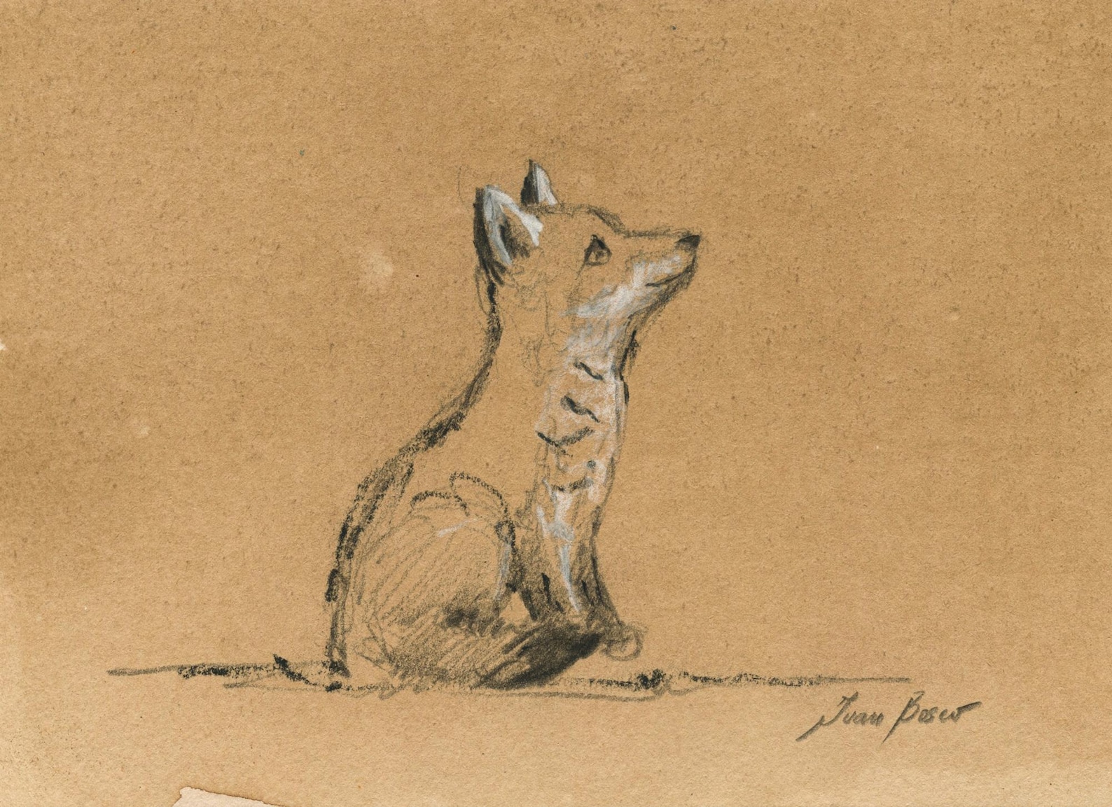 Original, NOT A PRINT - Fox Art, Fox Charcoal Sketch, Minimalist Fox ...