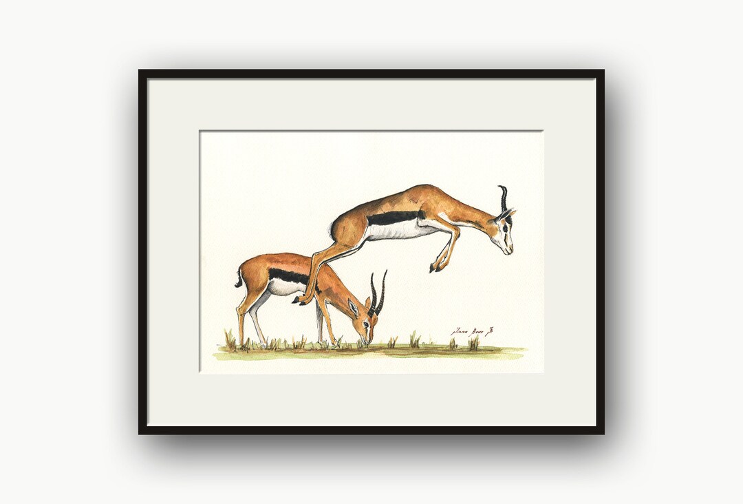 Impala Watercolor Painting, Aepyceros Melampus, Wild Feeding Impalas ...