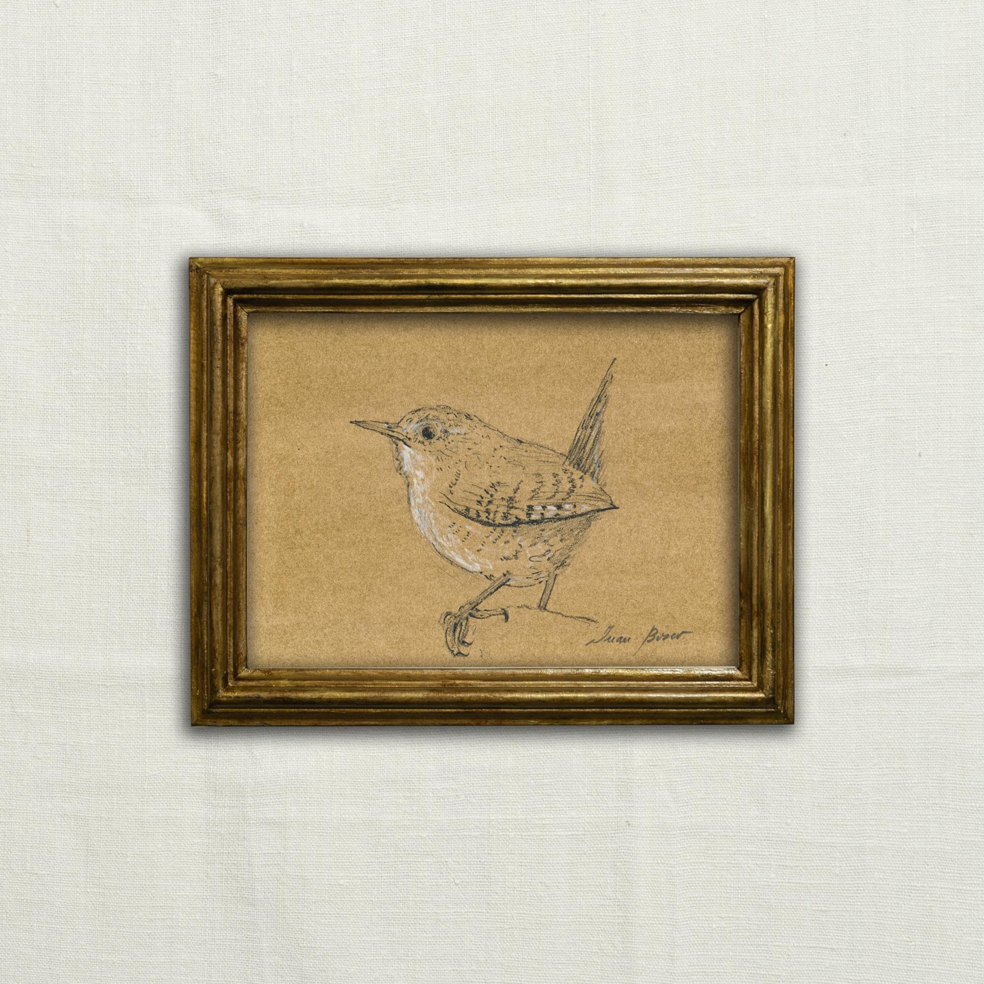 Original, NOT A PRINT - Wren Art, Wren Charcoal Sketch, Minimal Wren ...