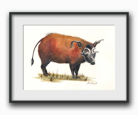PRINT Red River Hog Artwork Pig Painting Pig Art Pig | Etsy