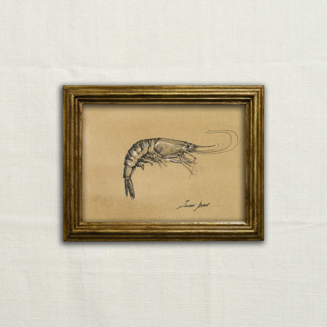 Original, NOT A PRINT - Shrimp Art, Crustacean Charcoal Sketch, Minimal ...