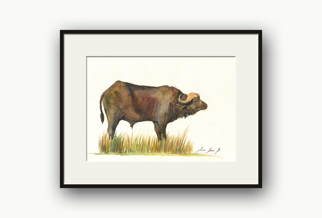 African Buffalo Watercolor on Paper Painting, Syncerus Caffer, Cape ...