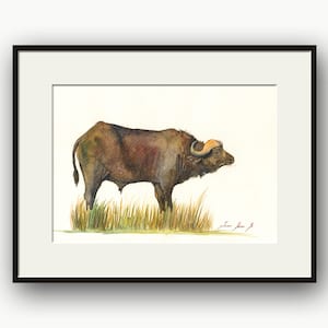 African Buffalo Watercolor on Paper Painting, Syncerus Caffer, Cape ...