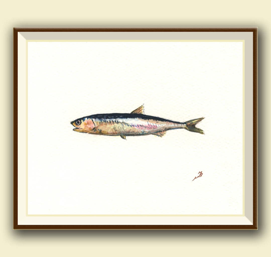 PRINT, Anchovy Fish- Fish Painting Art Print - Scad Sardine Fish Art ...