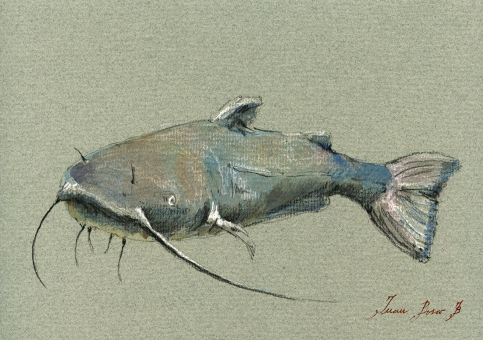 Print-catfish Fish Fishing Decor Catfish Painting Catfish - Etsy