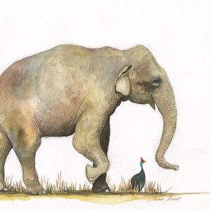 Asian Elephant Watercolor on Paper Painting, Elephas Maximus, Asiatic ...