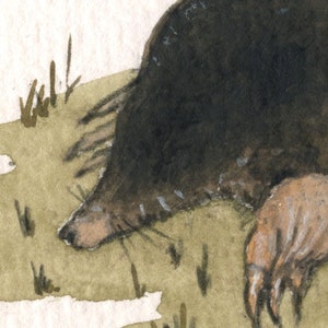 PRINT -mole Painting, Mole Watercolor, Mole Print, Mole Art, Mole Mouse ...