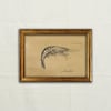 Shrimps Is... Illuminated Calligraphy Digital Print - Etsy
