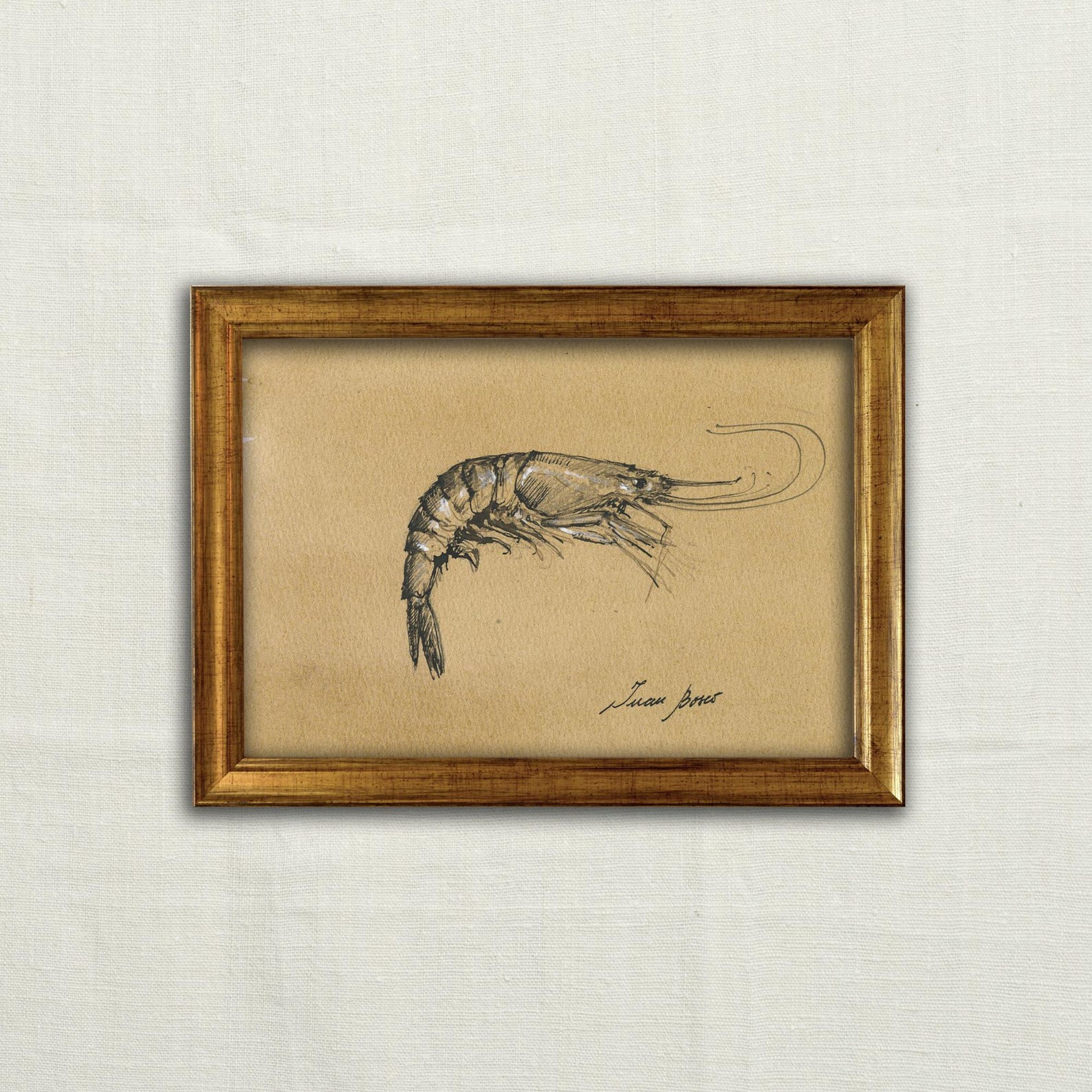 Original, NOT A PRINT - Shrimp Art, Crustacean Charcoal Sketch, Minimal ...