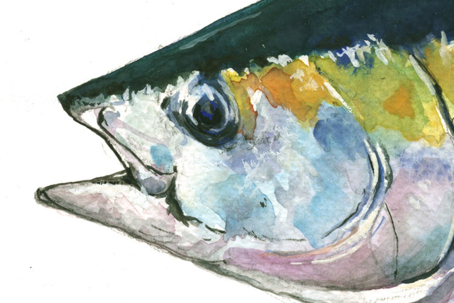 PRINT Yellowfin tuna fish Tuna painting art print Tuna | Etsy