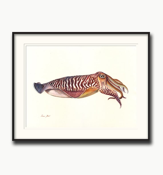 Cuttlefish Painting