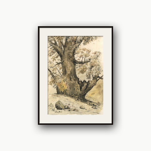 Chestnut Tree - Etsy