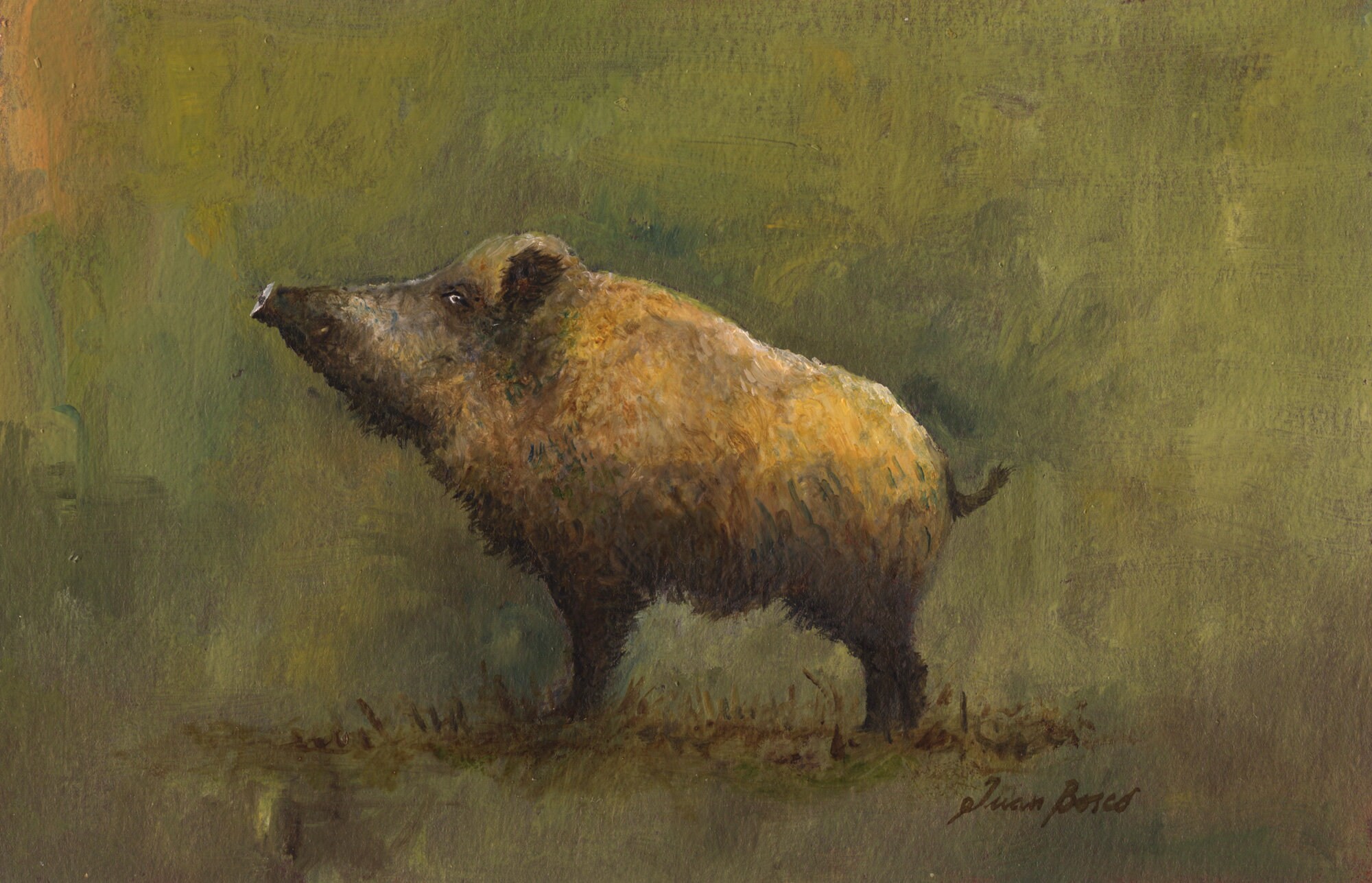 PRINT -wild Boar Oil on Paper Painting, Wild Swine Illustration, Wild ...