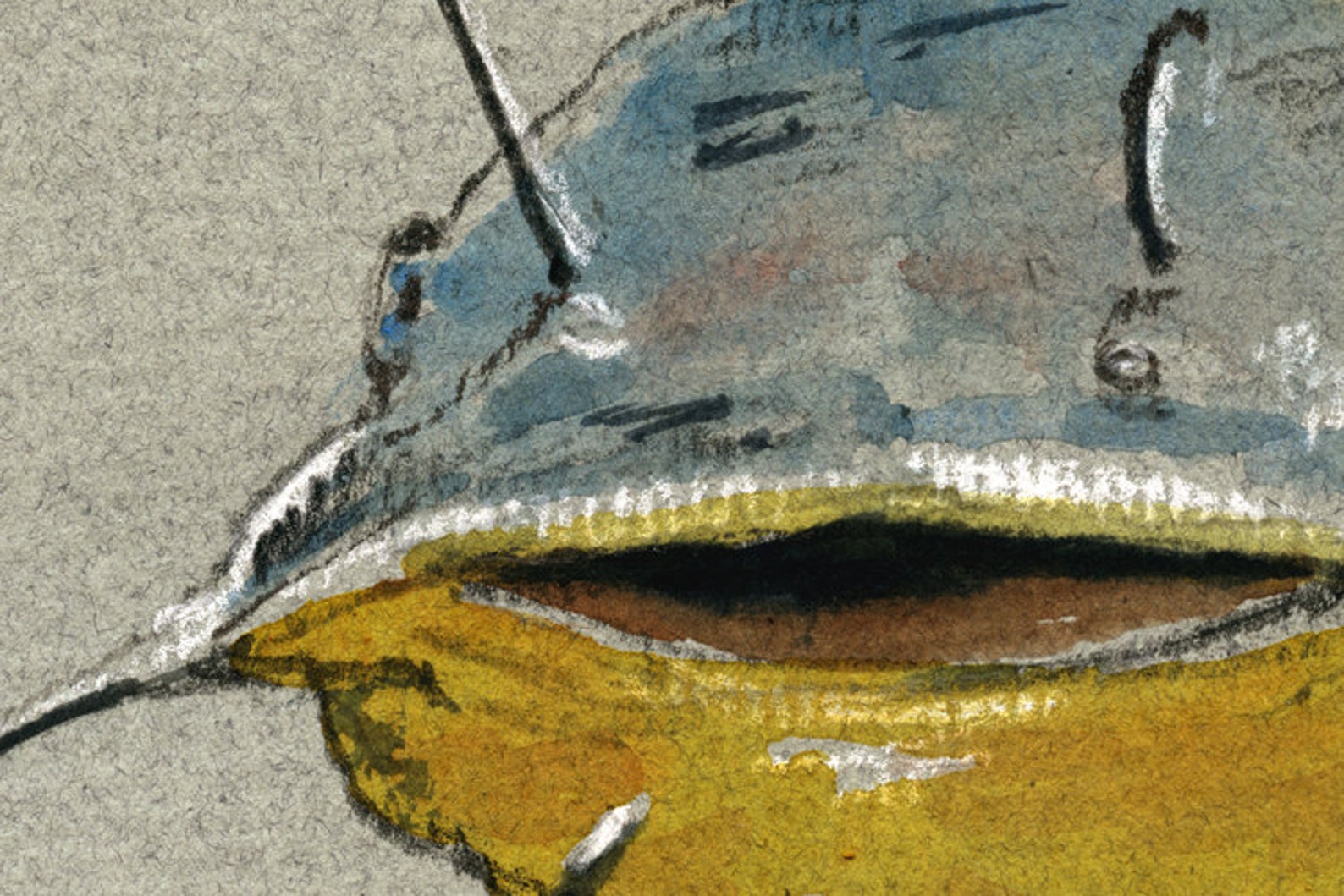 Print-catfish Fish Catfish Art Catfish Print Catfish - Etsy