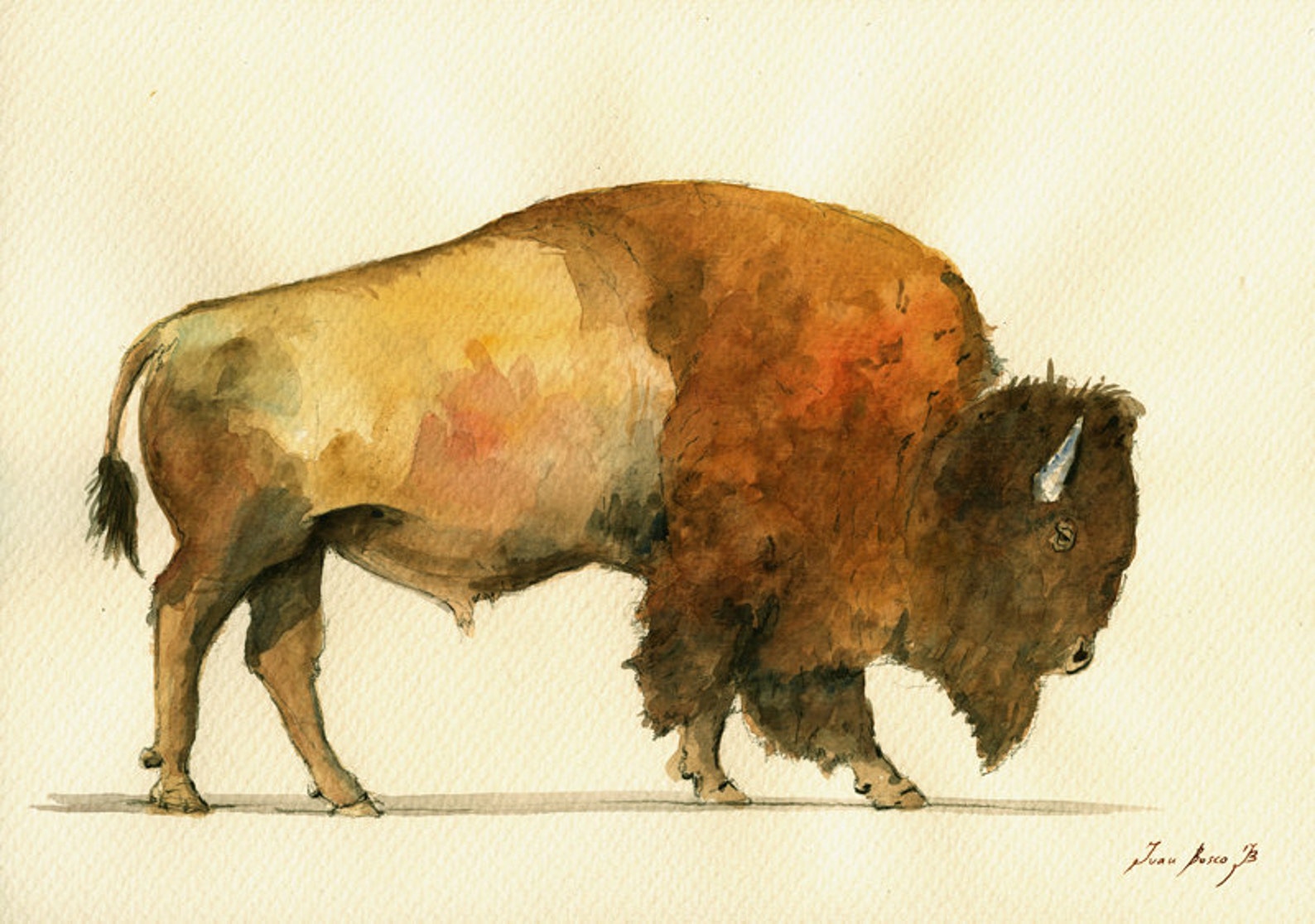 Print-buffalo american Bison Buffalo Forest Portrait Art - Etsy